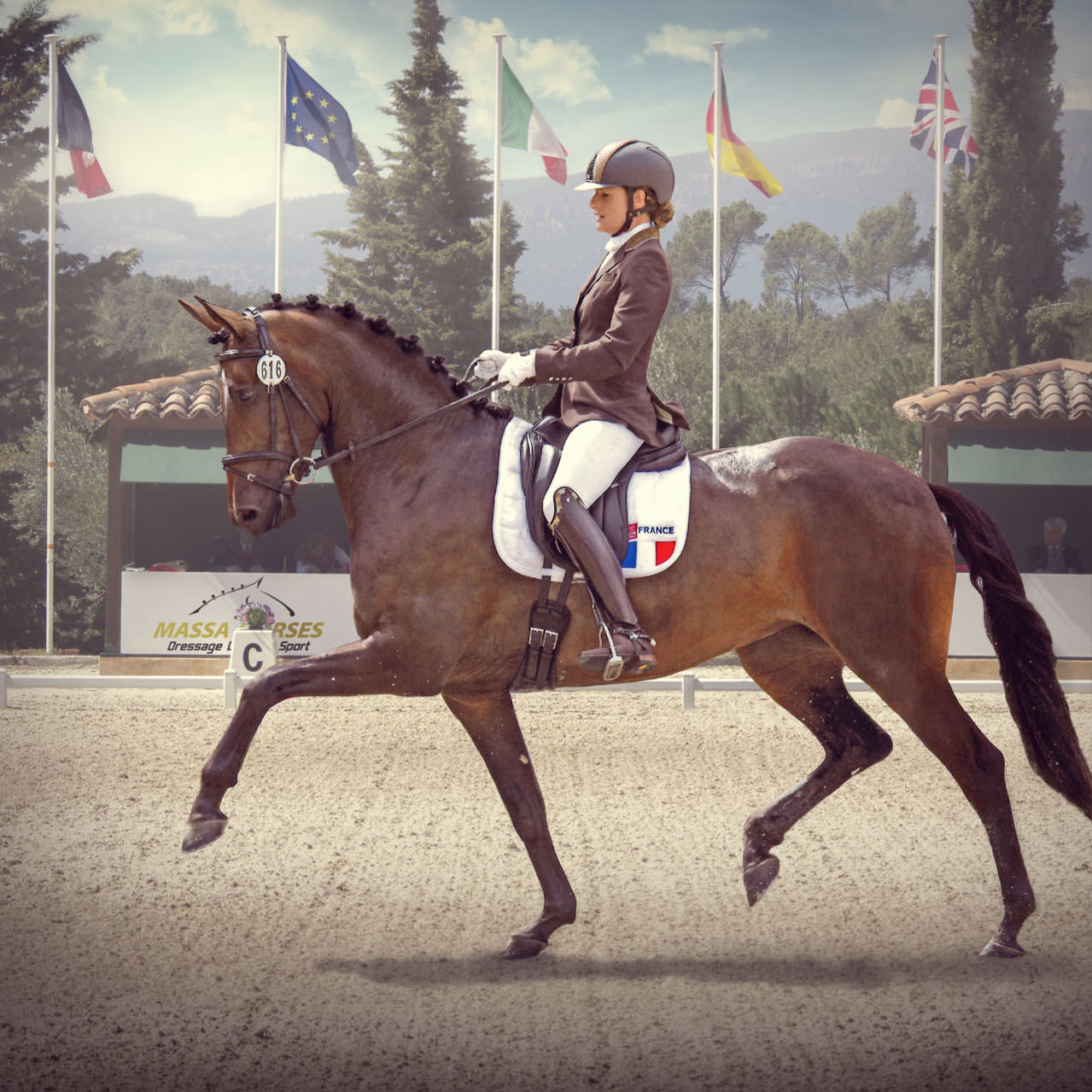 CONCOURS DE DRESSAGE - OCT. 2016 / PRÉSENTATION DE CHEVAUX A LA VENTE ...